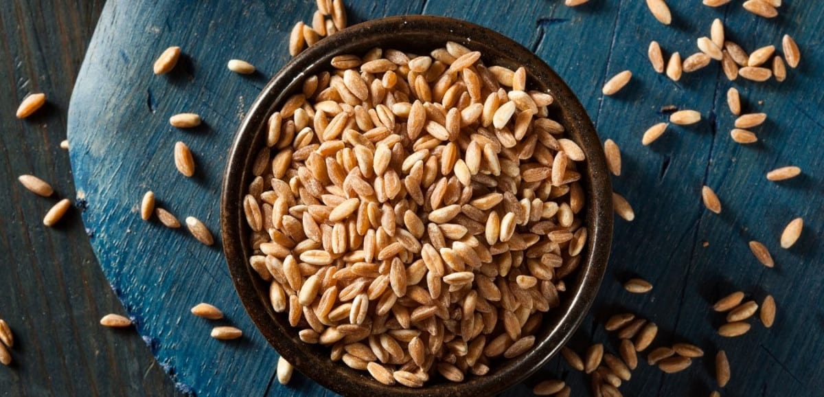 Best Rice Alternatives For Diabetics (From A Diabetes Educator)